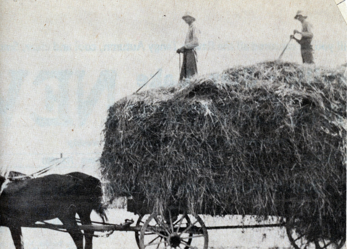 Bringing in the hay on the Bovee family farm in Jefferson County