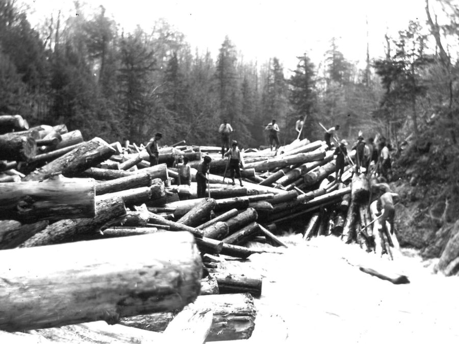 Log jam in Stone Valley near Colton