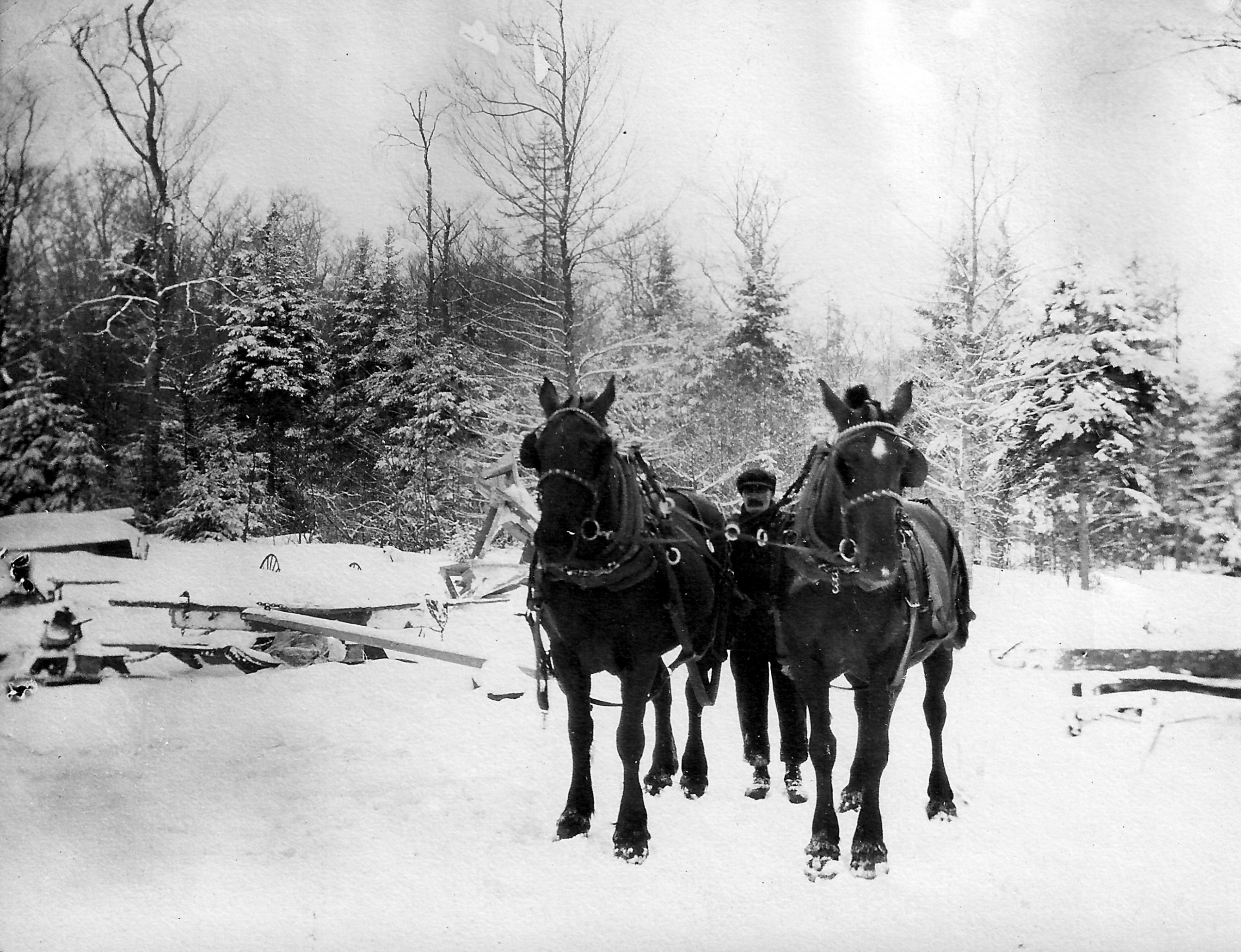 Logging camp loggers and families in Colton