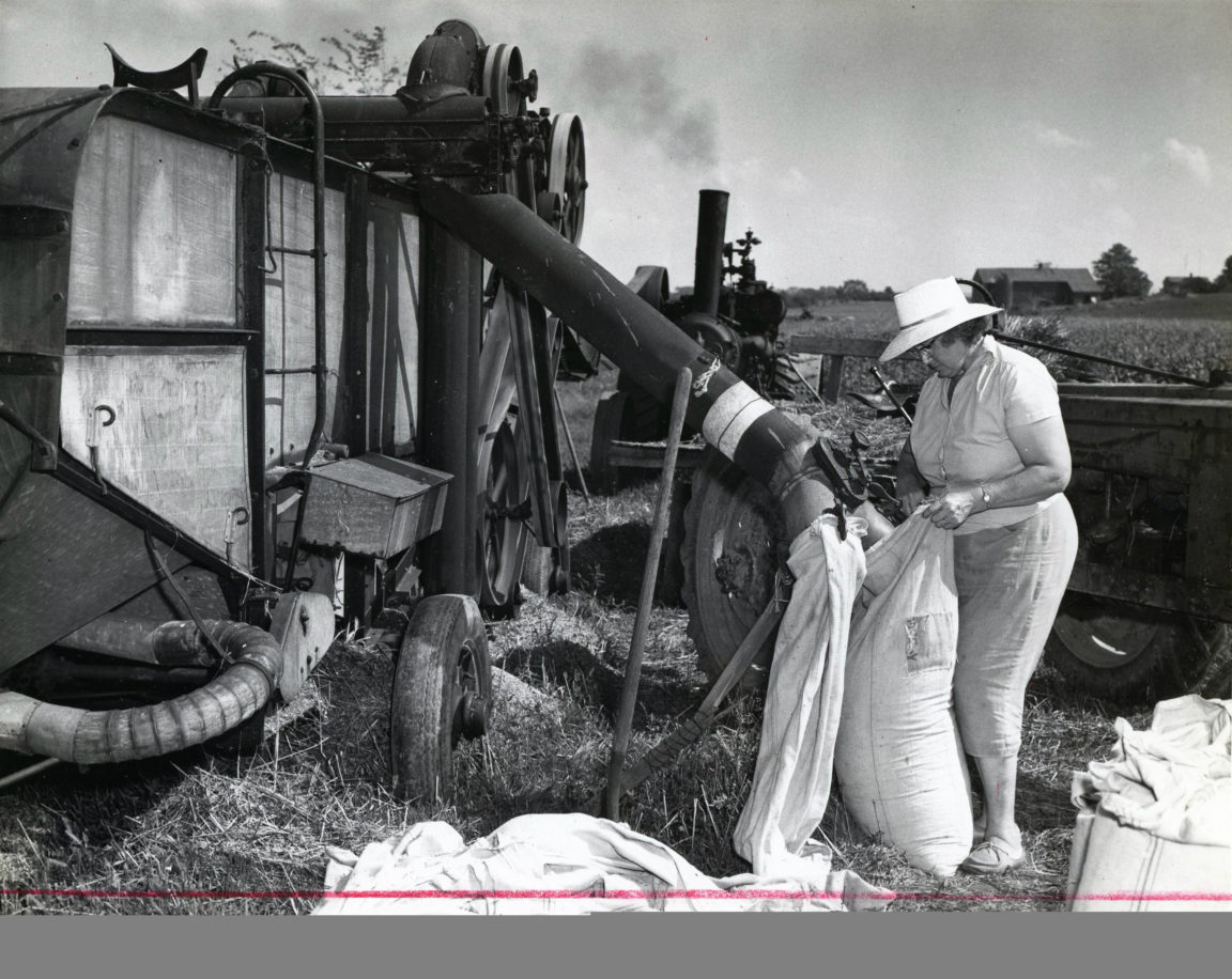 Woman bagging just-threshed oats near Watertown