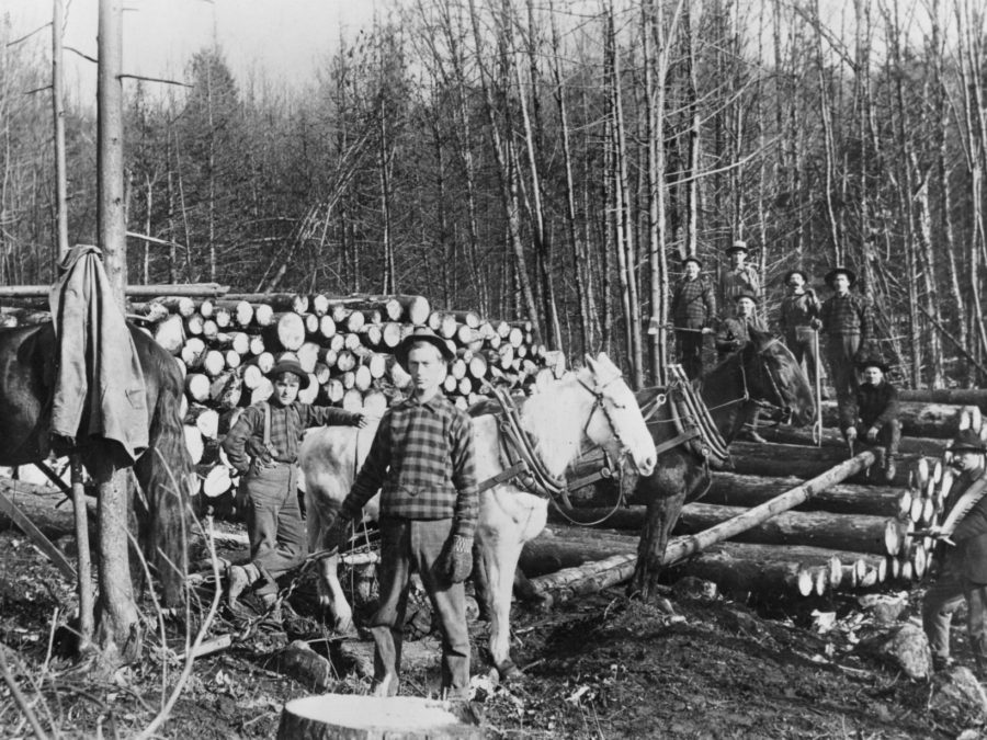 Logging sleigh in Colton