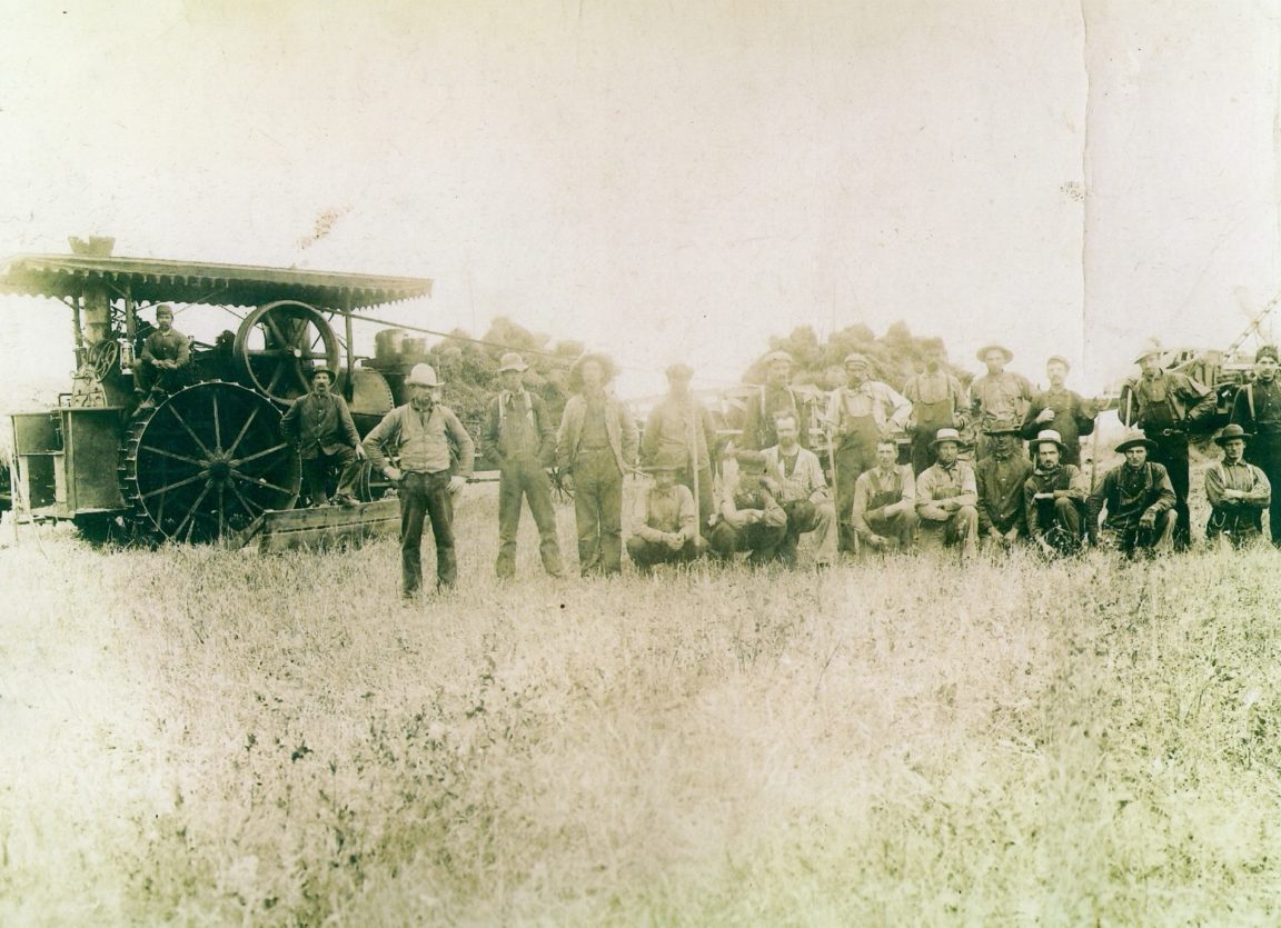 Threshing crew with traction steam engine in Lisbon