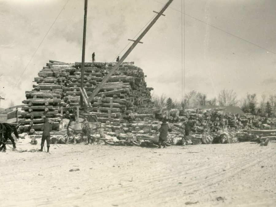 Enormous pile of logs at a skidway in Brandreth Park