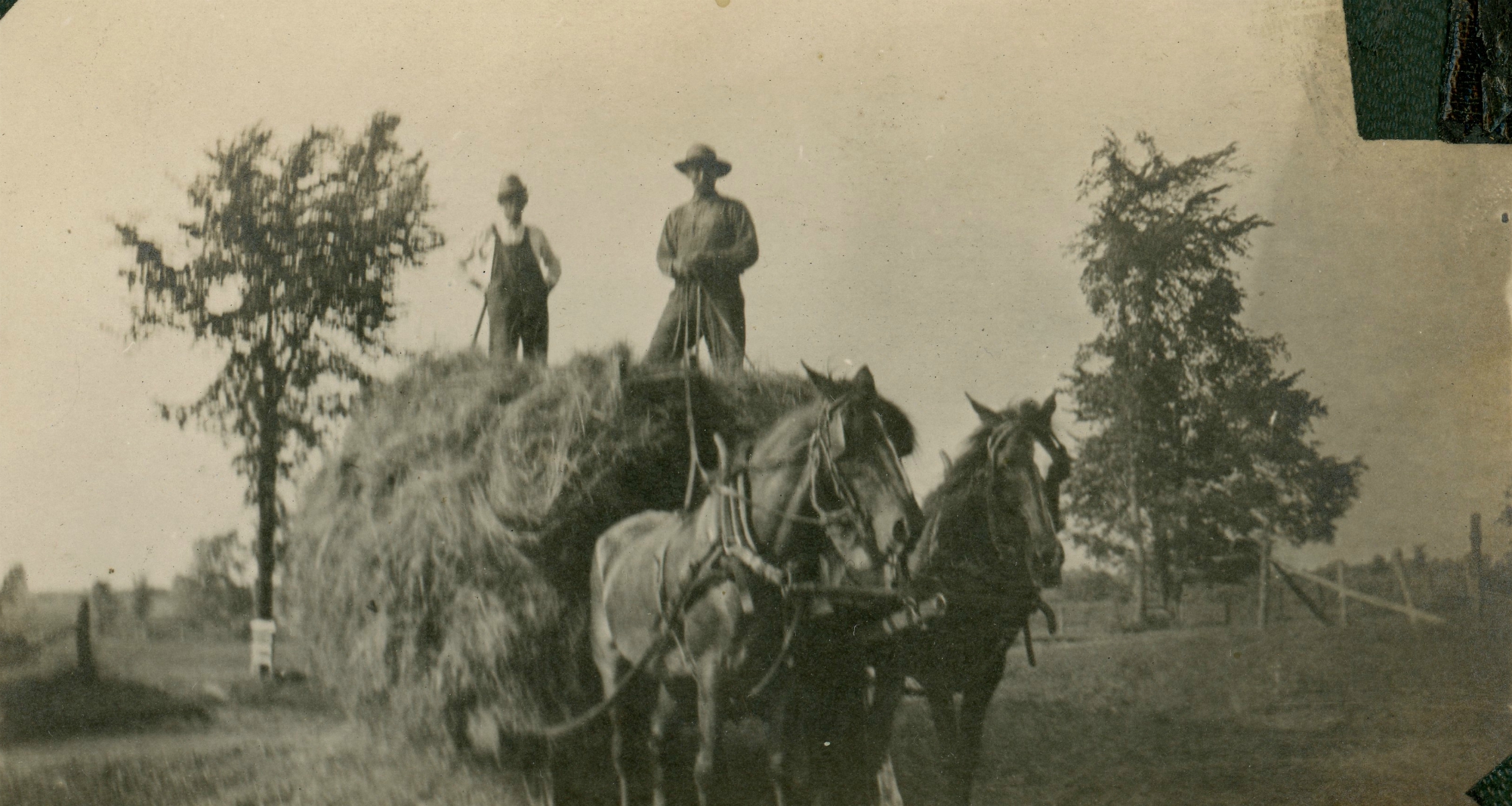 Pulling a load of loose hay in the Town of De Kalb