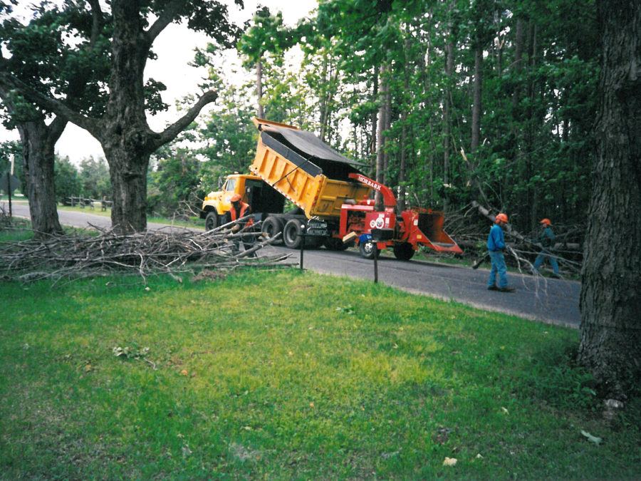 Man in bucket truck trimming a tree in Canton