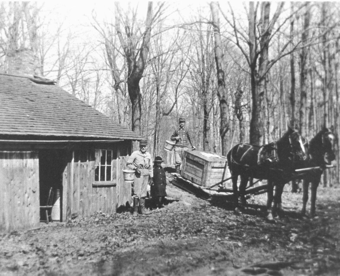 Heading out to gather sap at the Wallace Farm in Canton