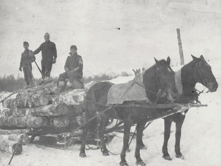 Early 1900s logging operation in Canton