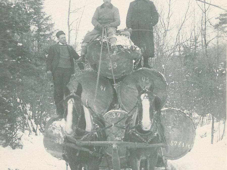 Logging sleigh in Colton