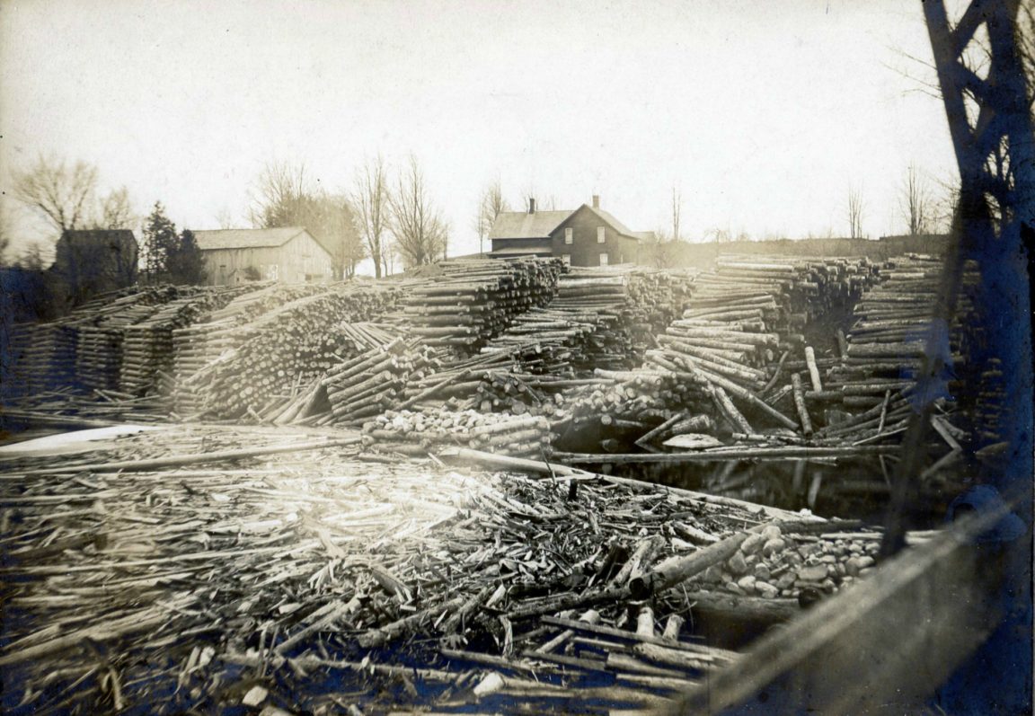 Piles of logs ready for milling at the Day Mill in Hopkinton
