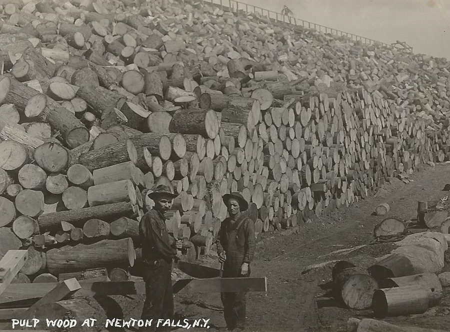 Bark logging camp buildings in woods near Harrisville