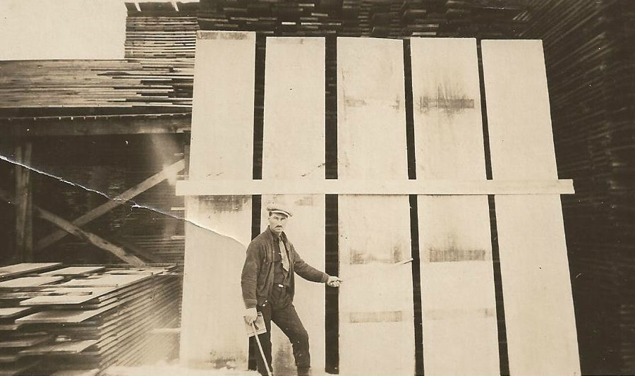 Timber yarded in the water in Brandreth Park