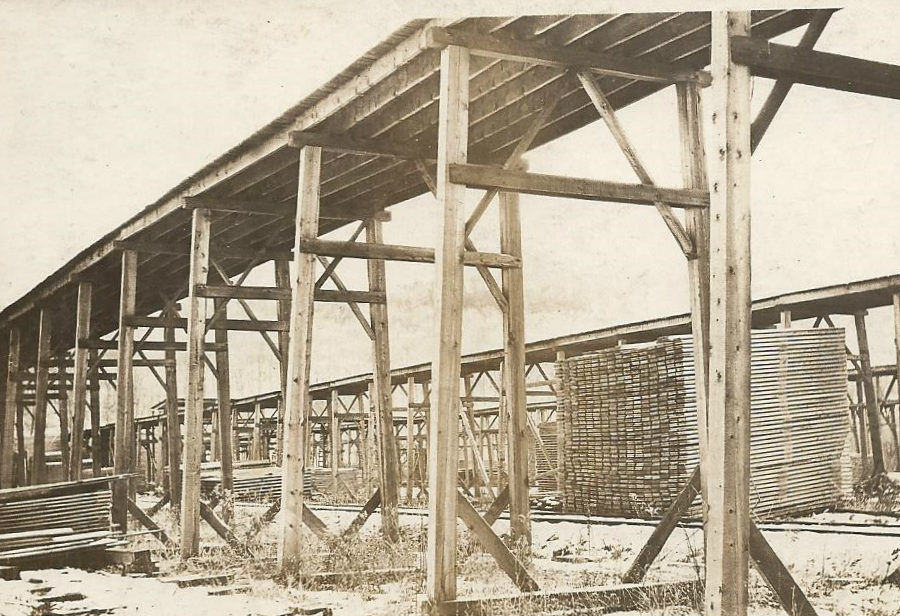 Timber Scaler Jack Hanley with extremely large Birch planks in ...