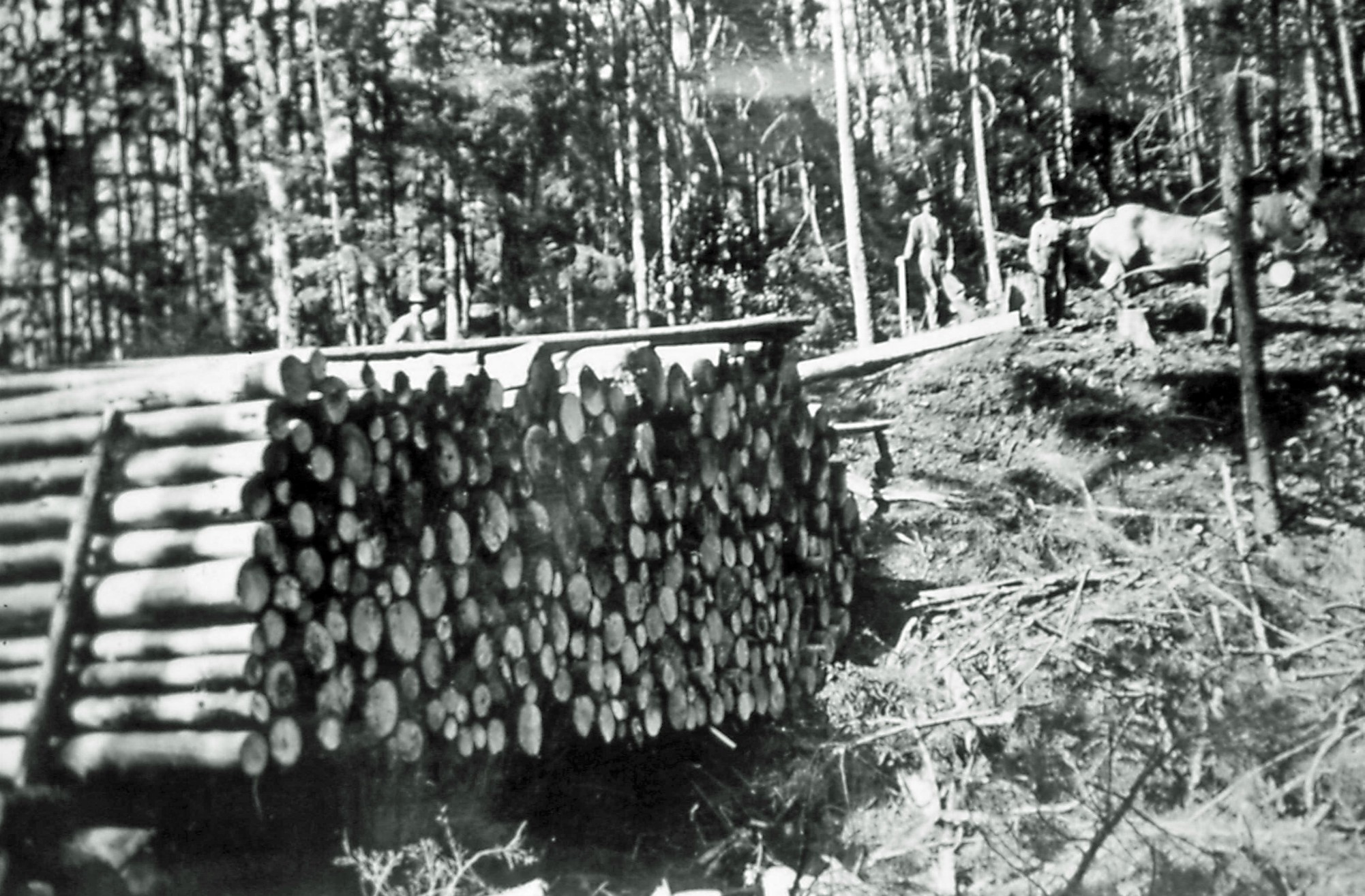 Logs on a skidway with men and horse in background in Long Lake