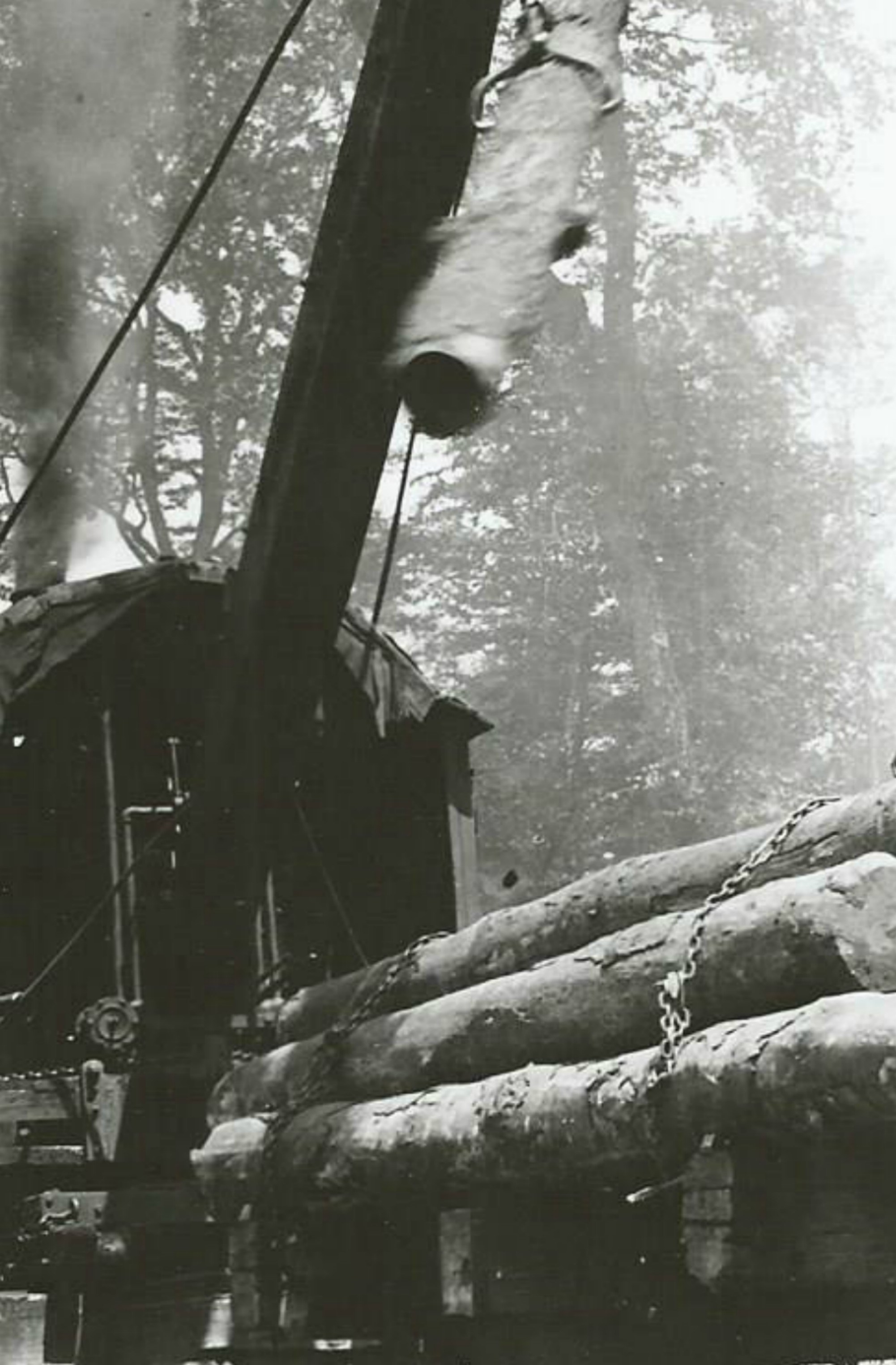 Using a steam loader to hoist logs in Newbridge