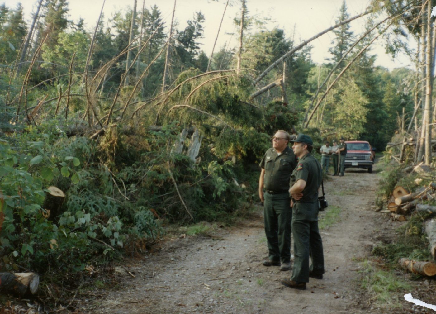 Forest rangers assess damage after a microburst in Wanakena
