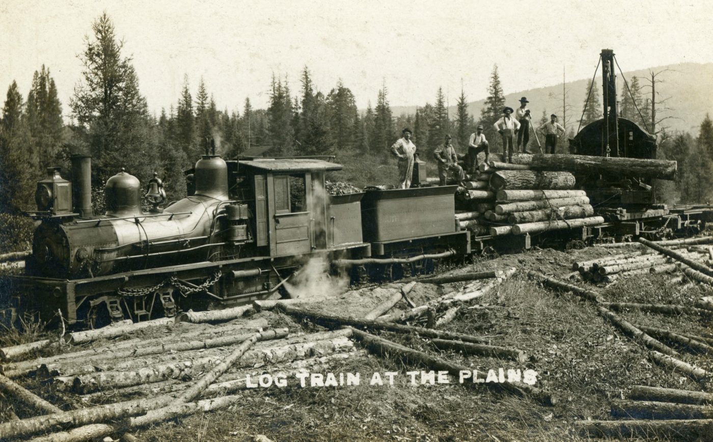 Men on top of a log train at the Plains in Wanakena