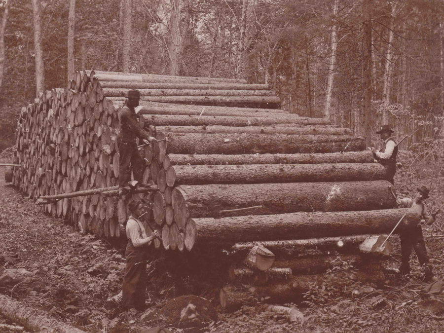 Bark logging camp buildings in woods near Harrisville