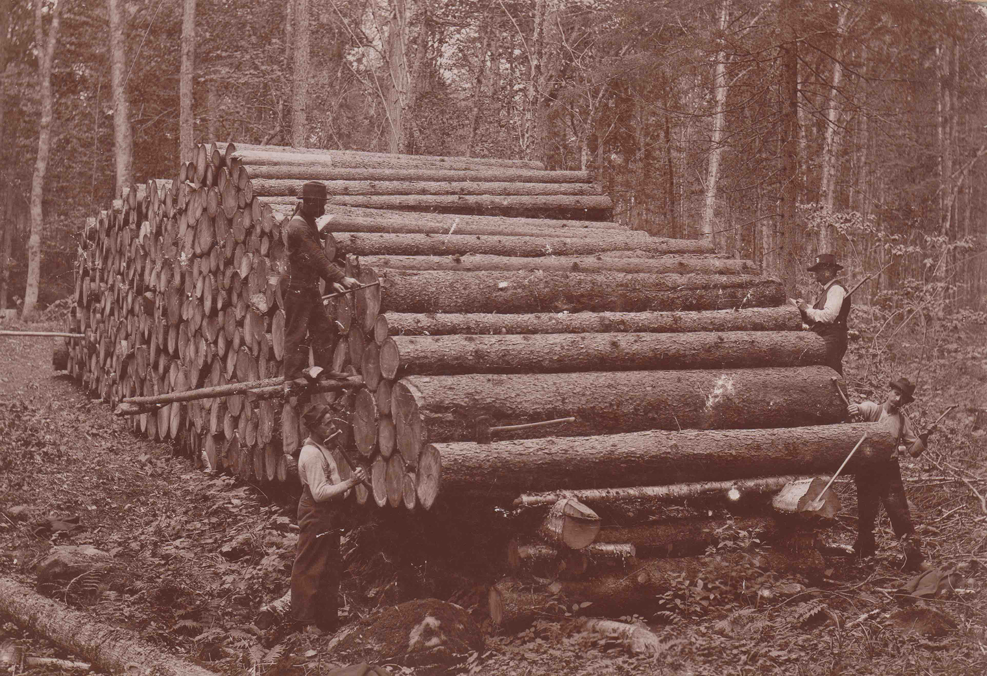 Logging on the flats in Benson