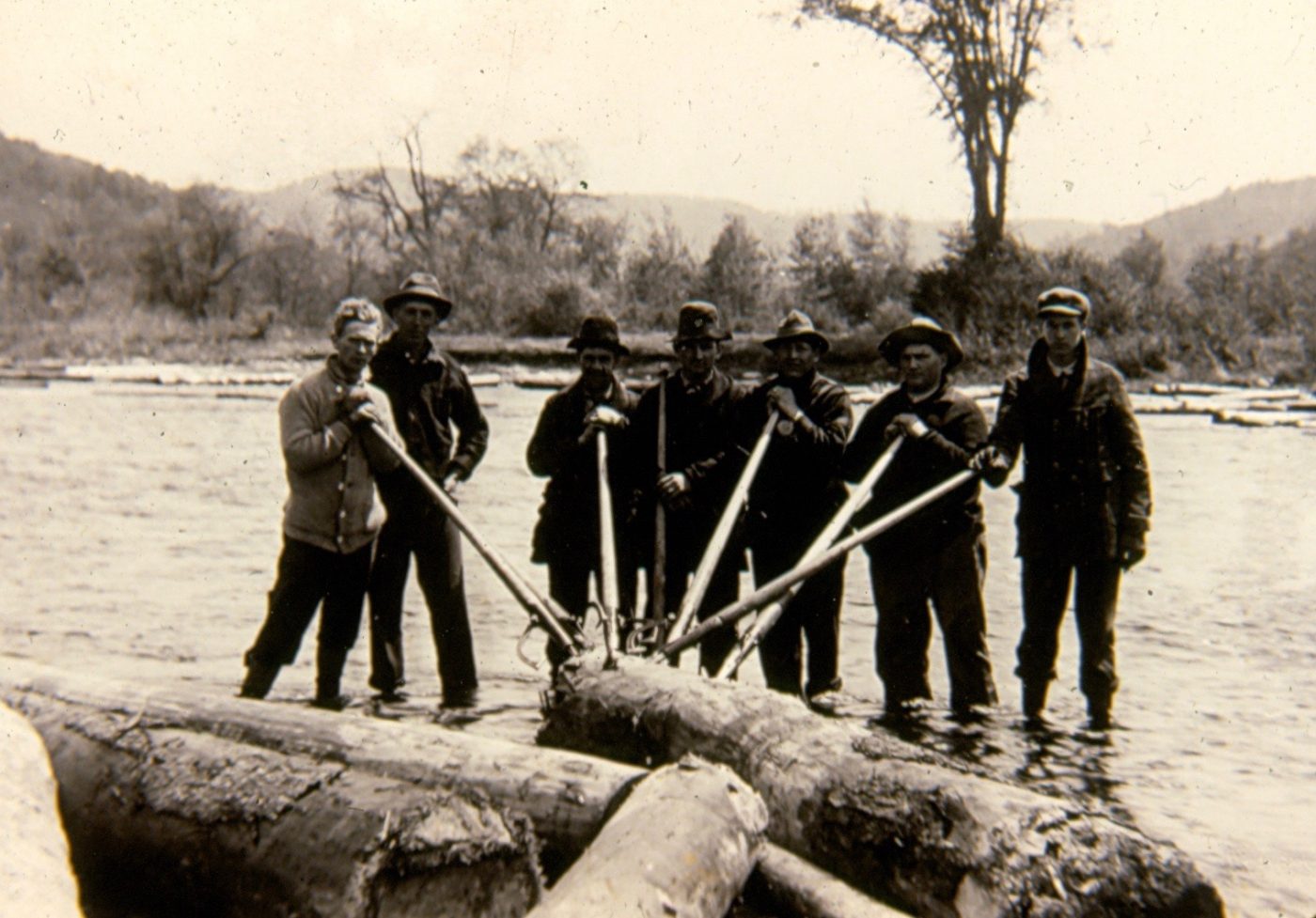 Group of loggers driving logs on the river in Hope