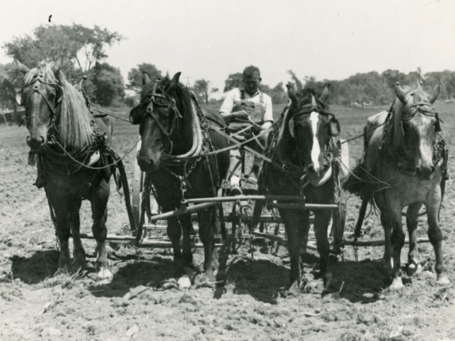 9 teams of horses transporting a generator in Nicholville