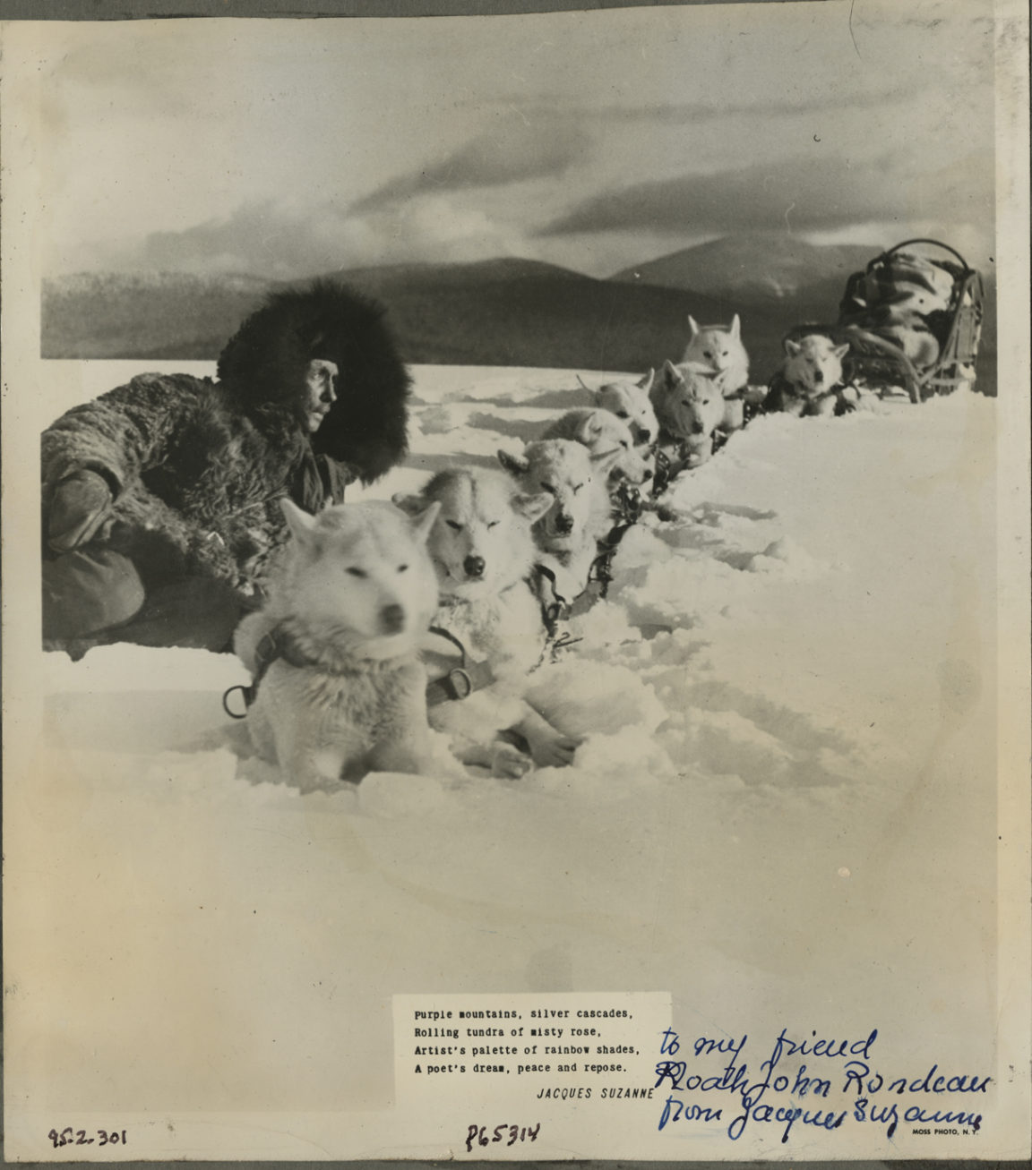 Jacques Suzanne with his team of dogs in Lake Placid