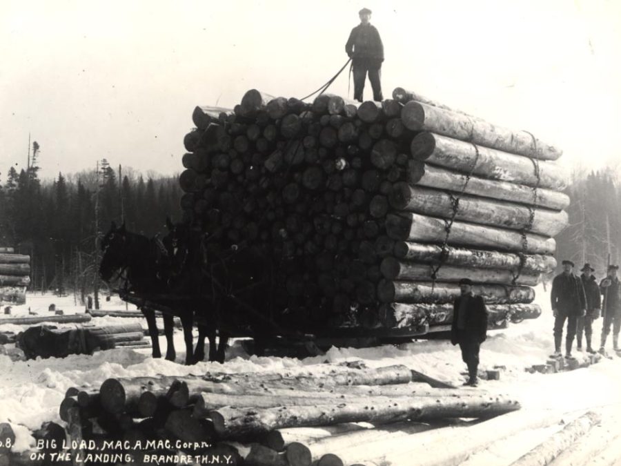Bark logging camp buildings in woods near Harrisville