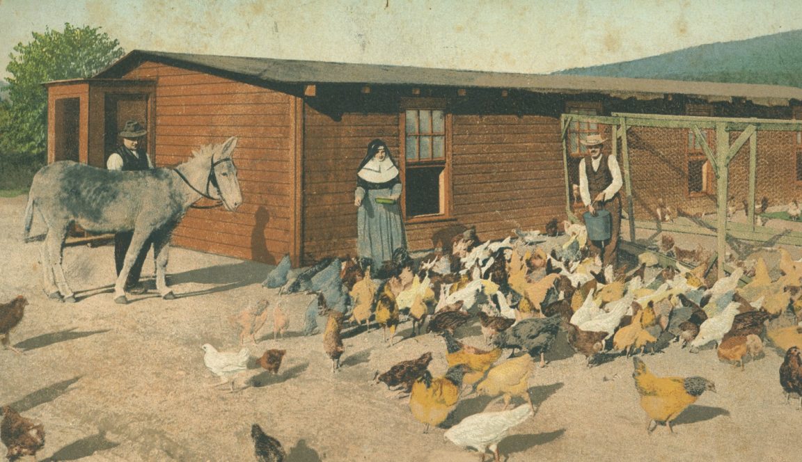 Men and nun feed chickens in the yard at Gabriels Sanatorium in Saranac ...