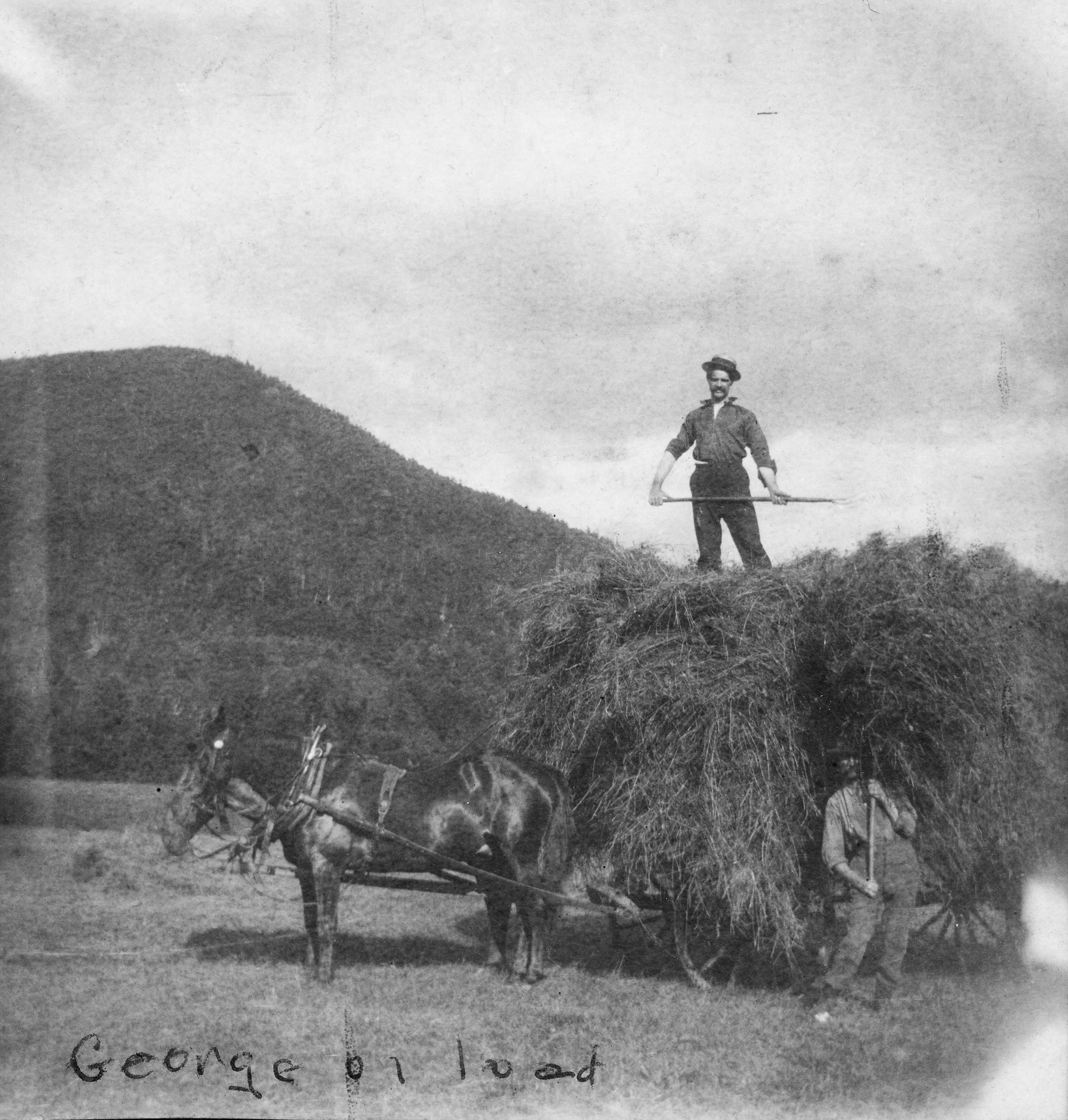 George Dibble on a load of hay in Keene Valley