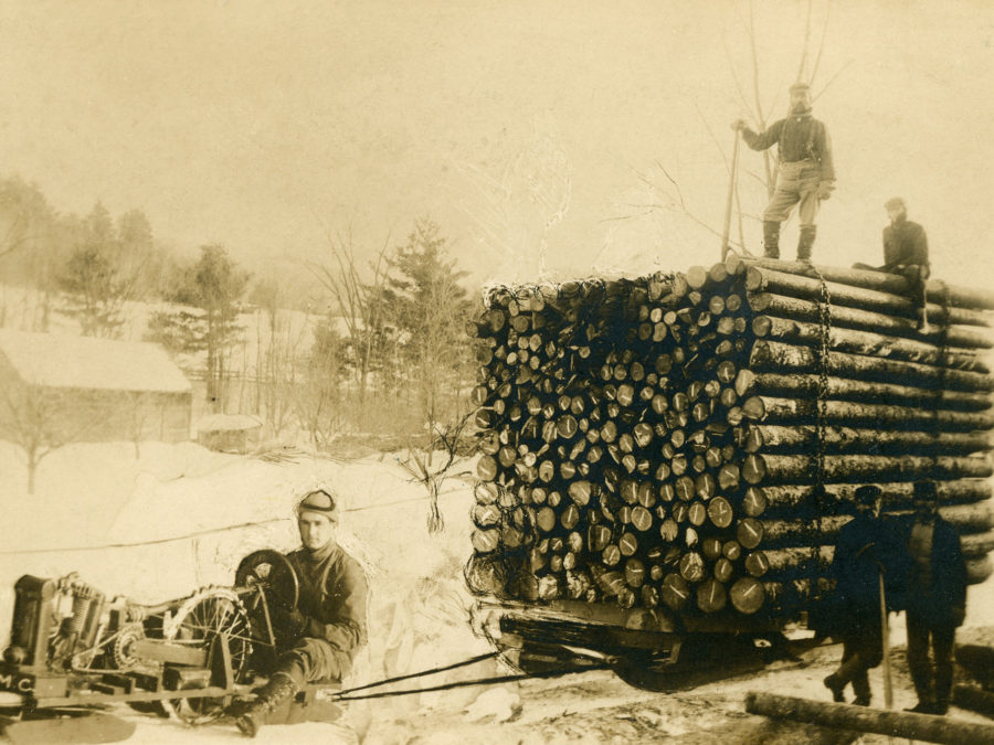 Bark logging camp buildings in woods near Harrisville