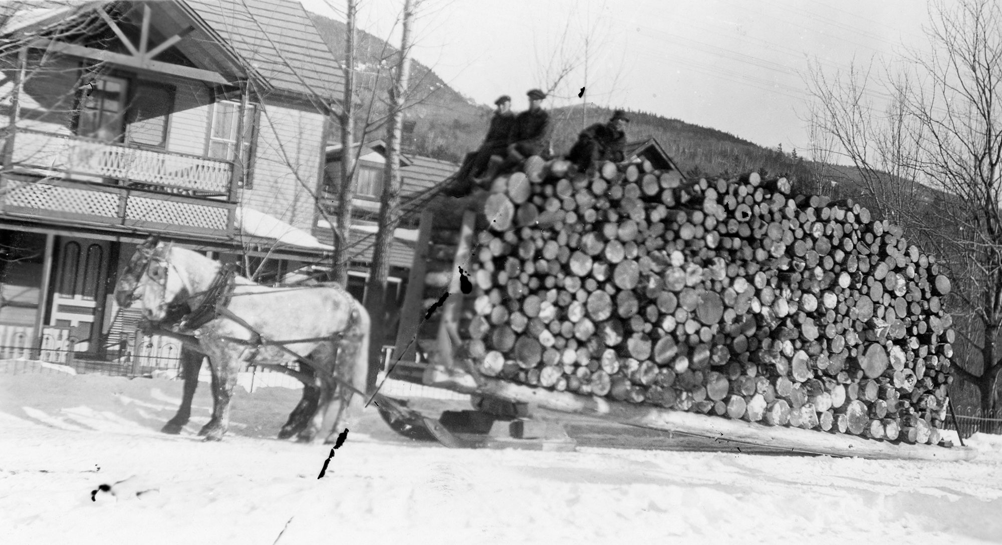 The Crawfords hauling a load of pulpwood in Keene Valley