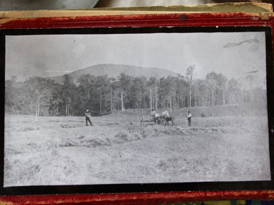 George Dibble on a load of hay in Keene Valley