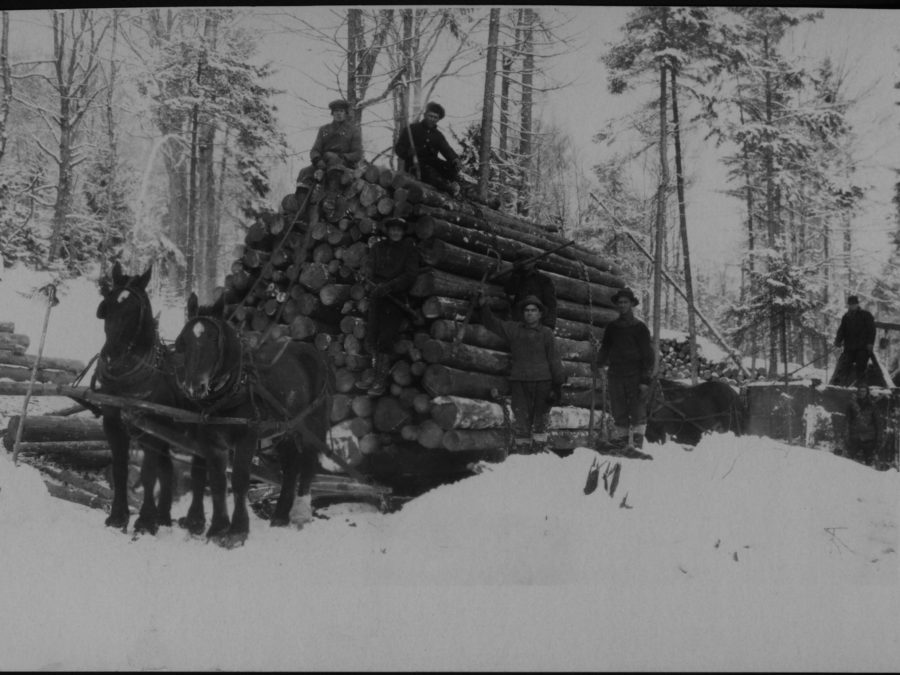 A loggers posing at their camp in Tupper Lake