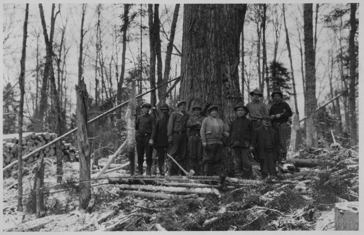 A group of loggers next to a large tree near Tupper Lake