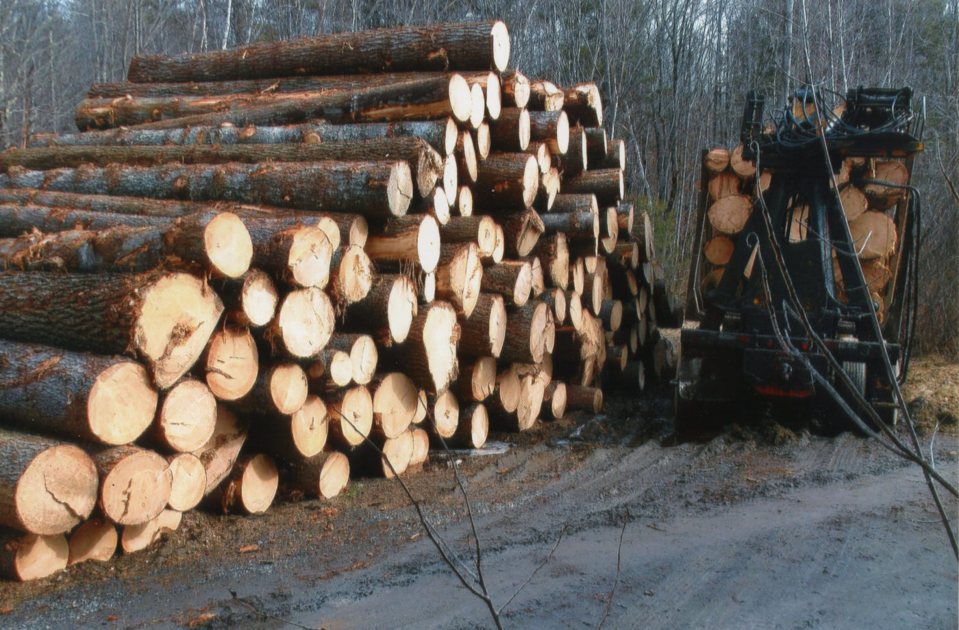 A stack of white pine logs in Elizabethtown