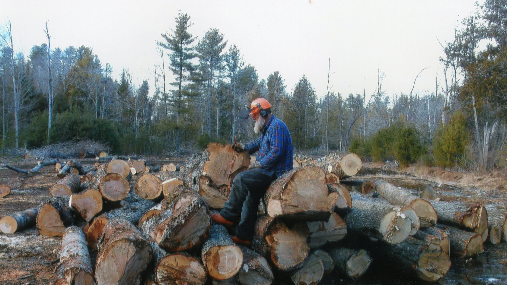Two-man logging operation in Elizabethtown, spring 2016