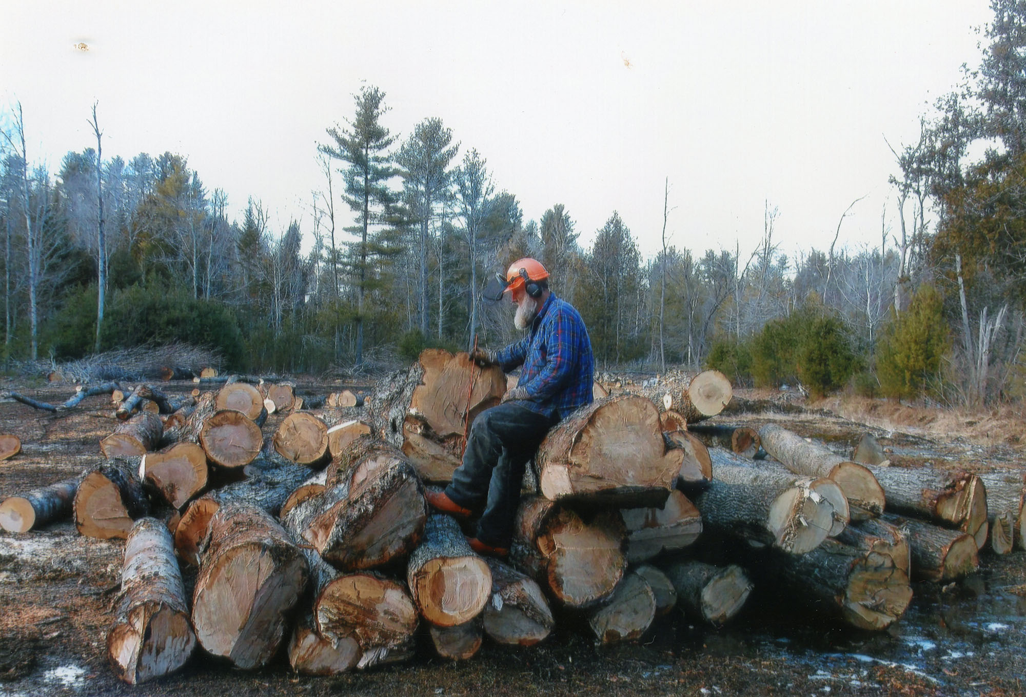 Two-man logging operation in Elizabethtown, spring 2016
