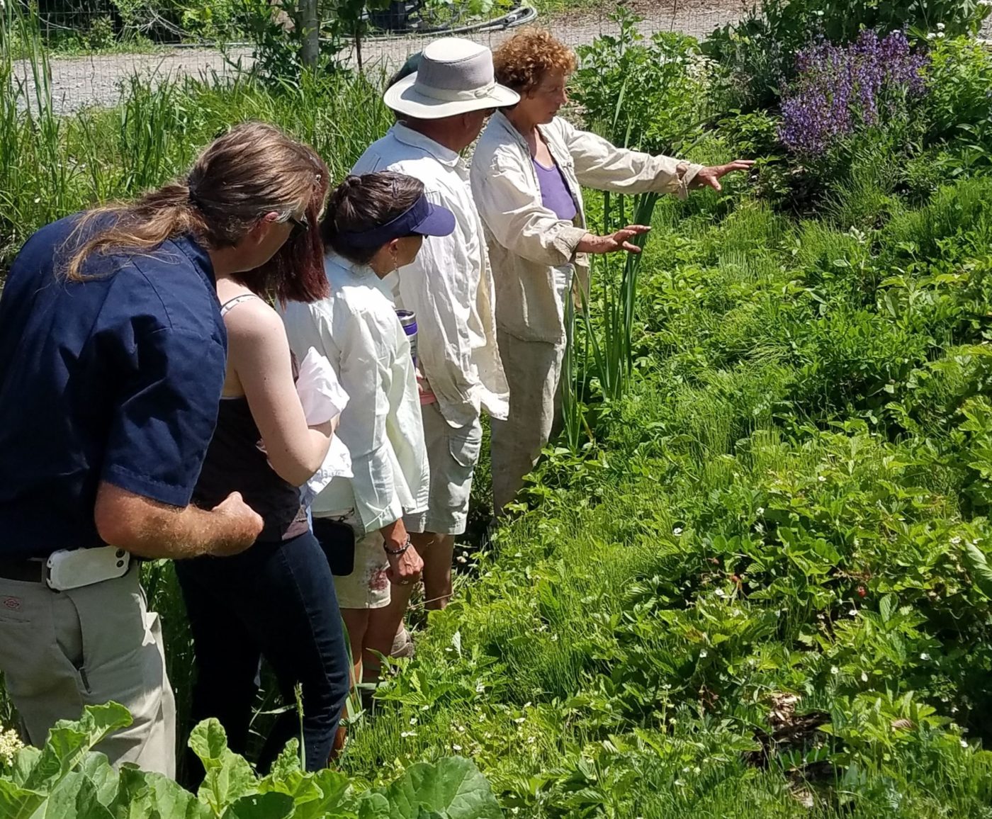 Dani Baker giving a tour at Cross Island Farms on Wellesley Island