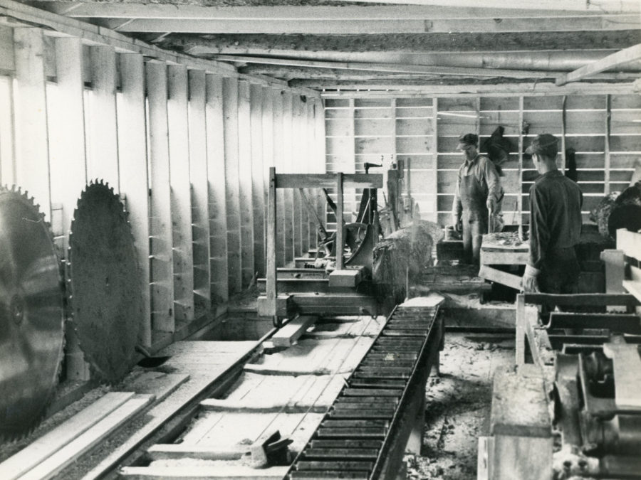 Inside the sawmill at the Santa Clara Lumber Company